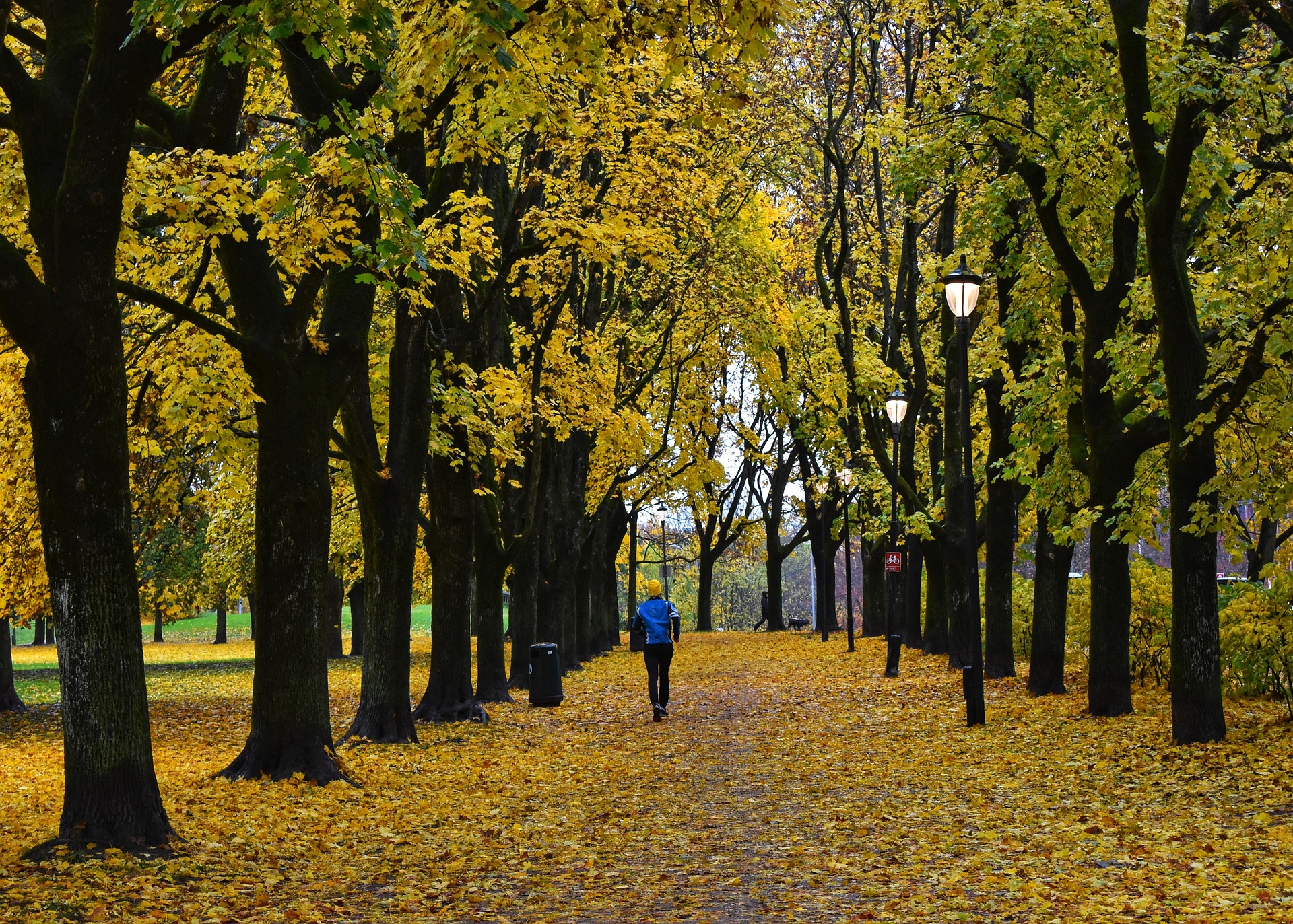 Things to do in Oslo - iamlivingabroad.com